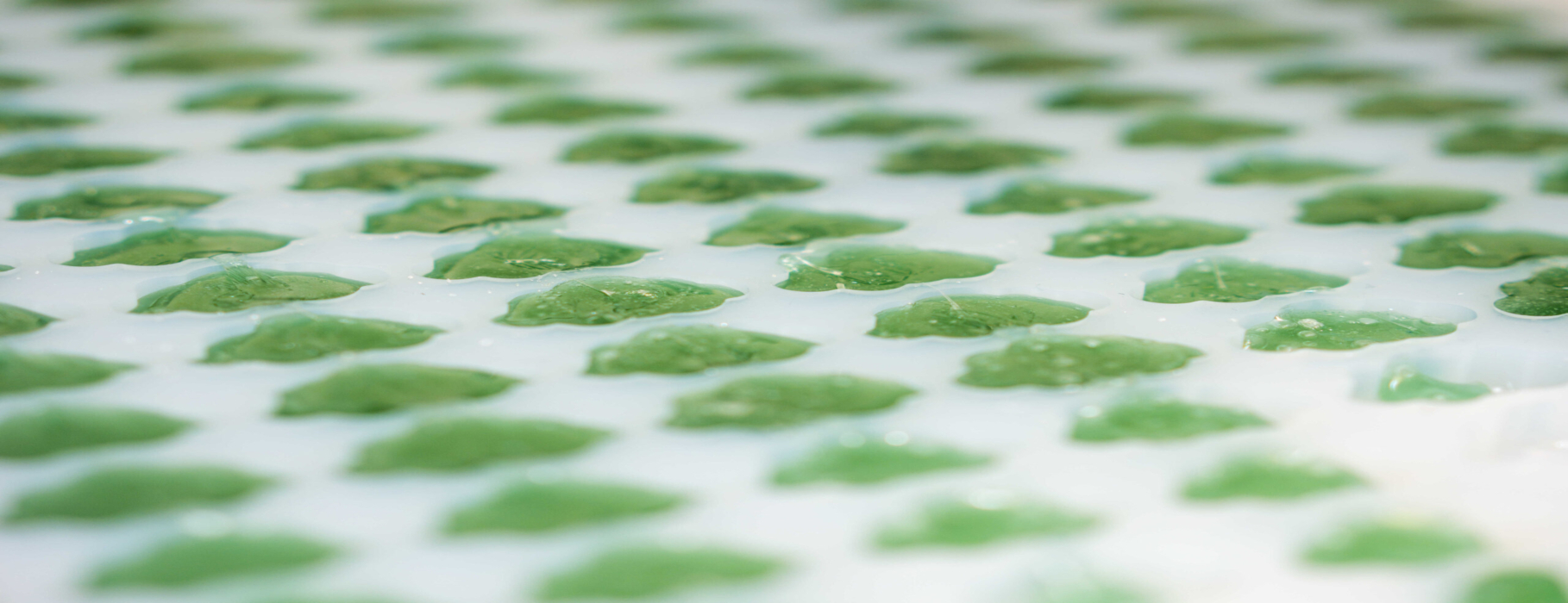 Employees Archive - Pyramid Pens